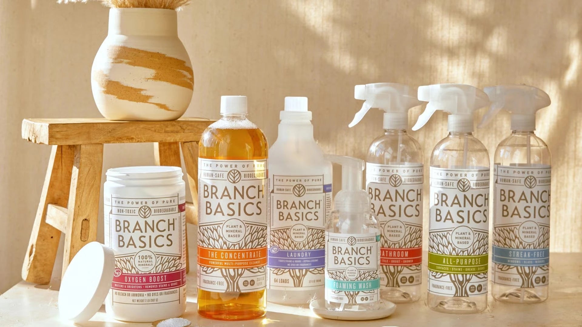 Branch Basics – Goodie Vibes